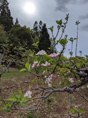 From The Farm – Smokey Ridge Ranch