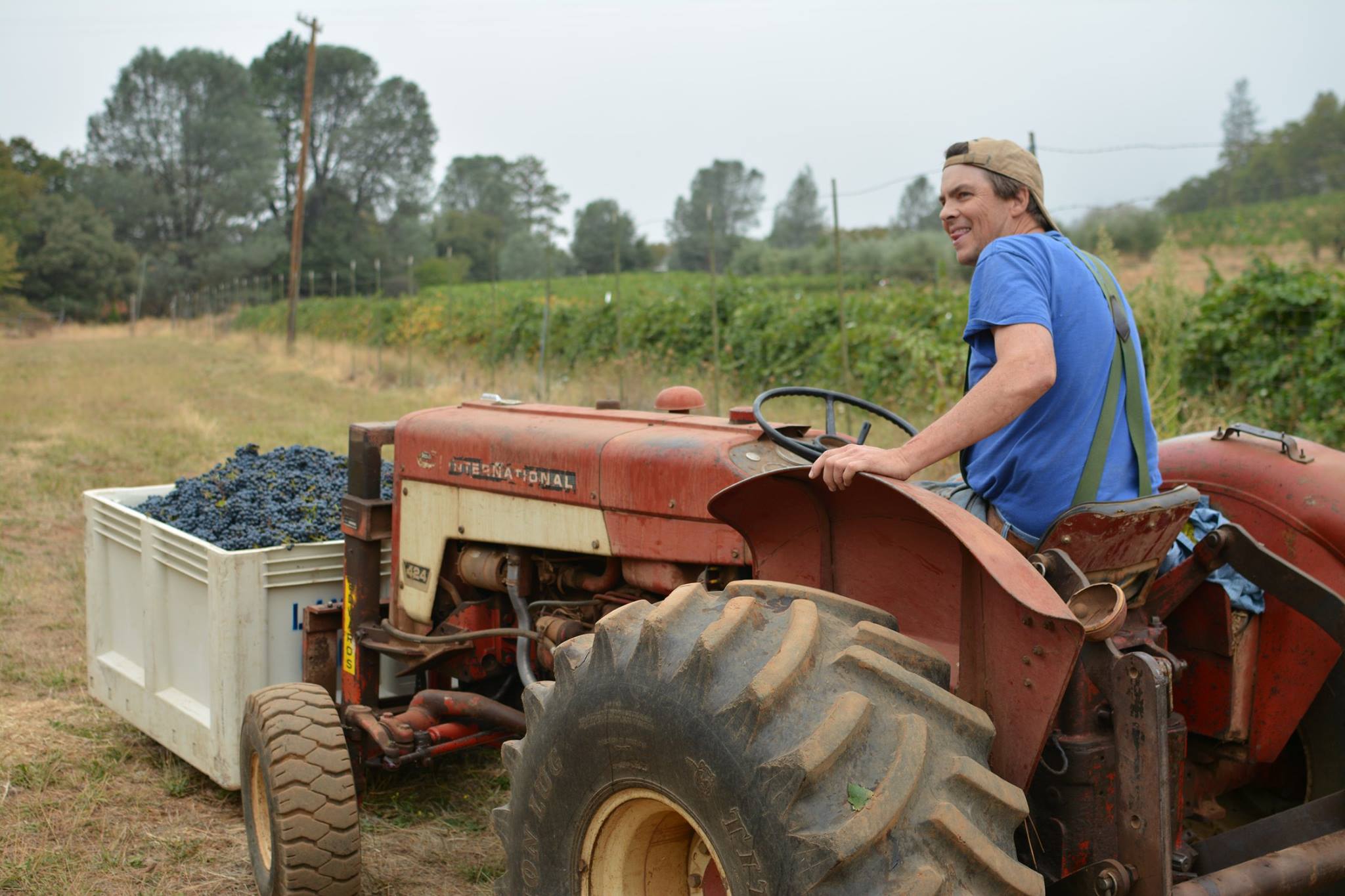 Boutique Winery – Smokey Ridge Ranch